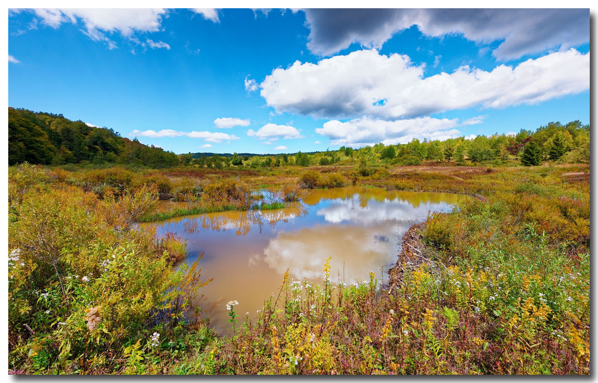 Dolly Sods